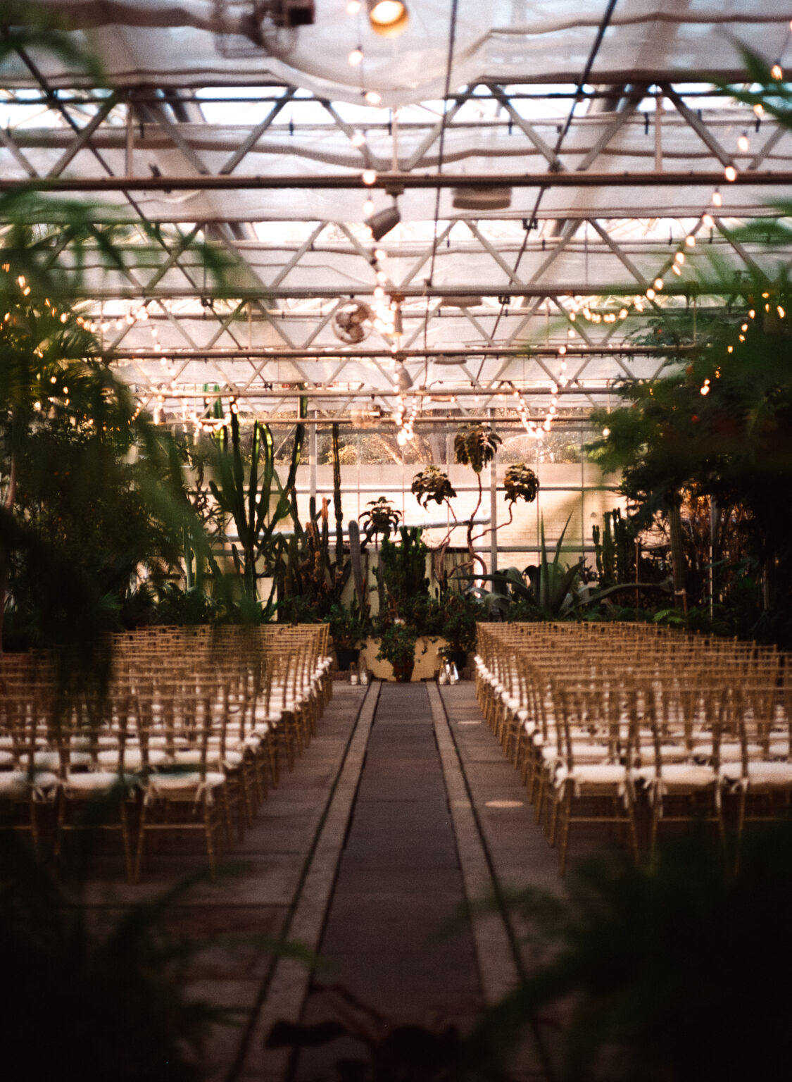 A Winter Wedding at Roger Williams Park Botanical Center | Showit Blog