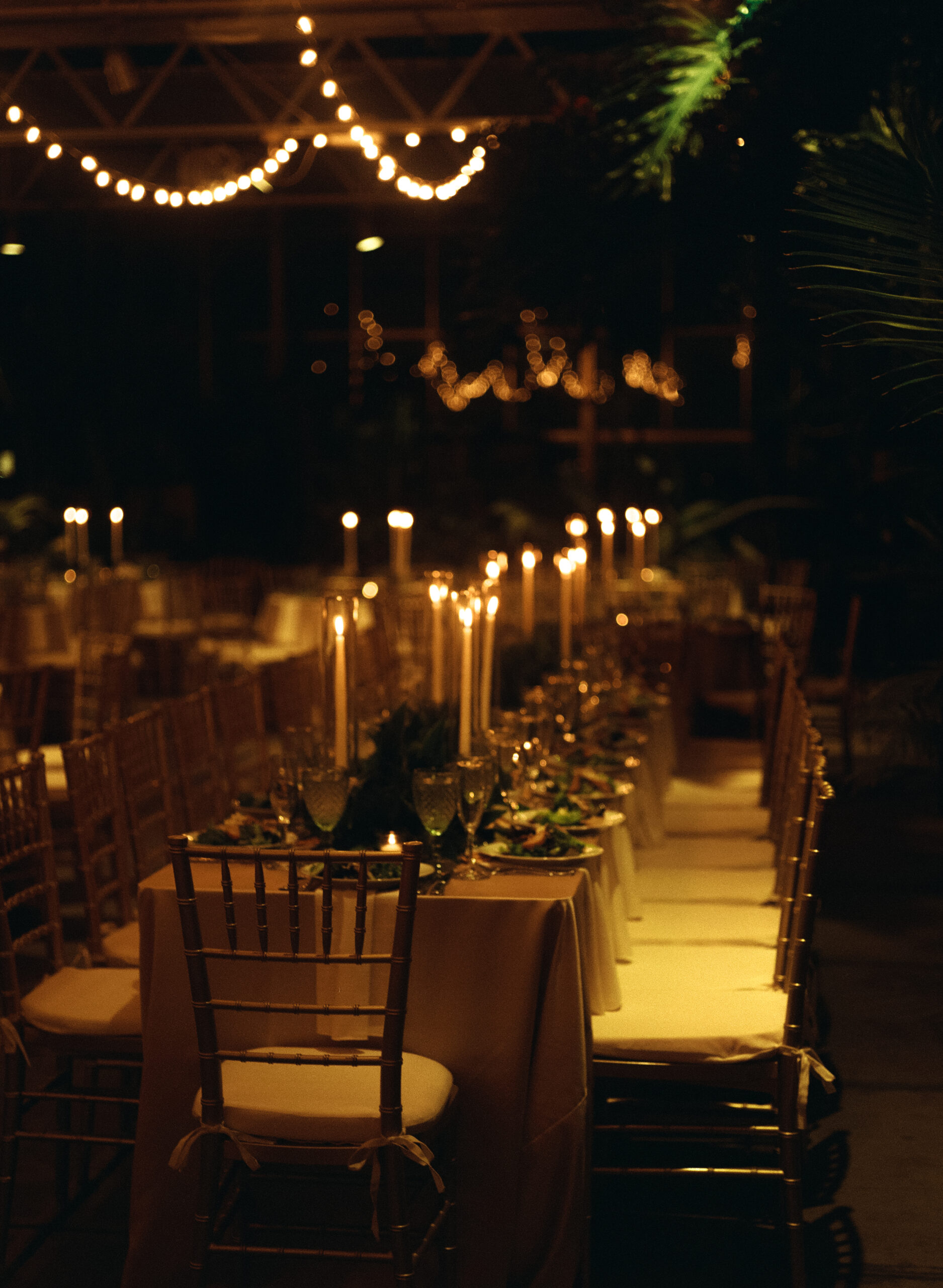 A Winter Wedding at Roger Williams Park Botanical Center | Showit Blog