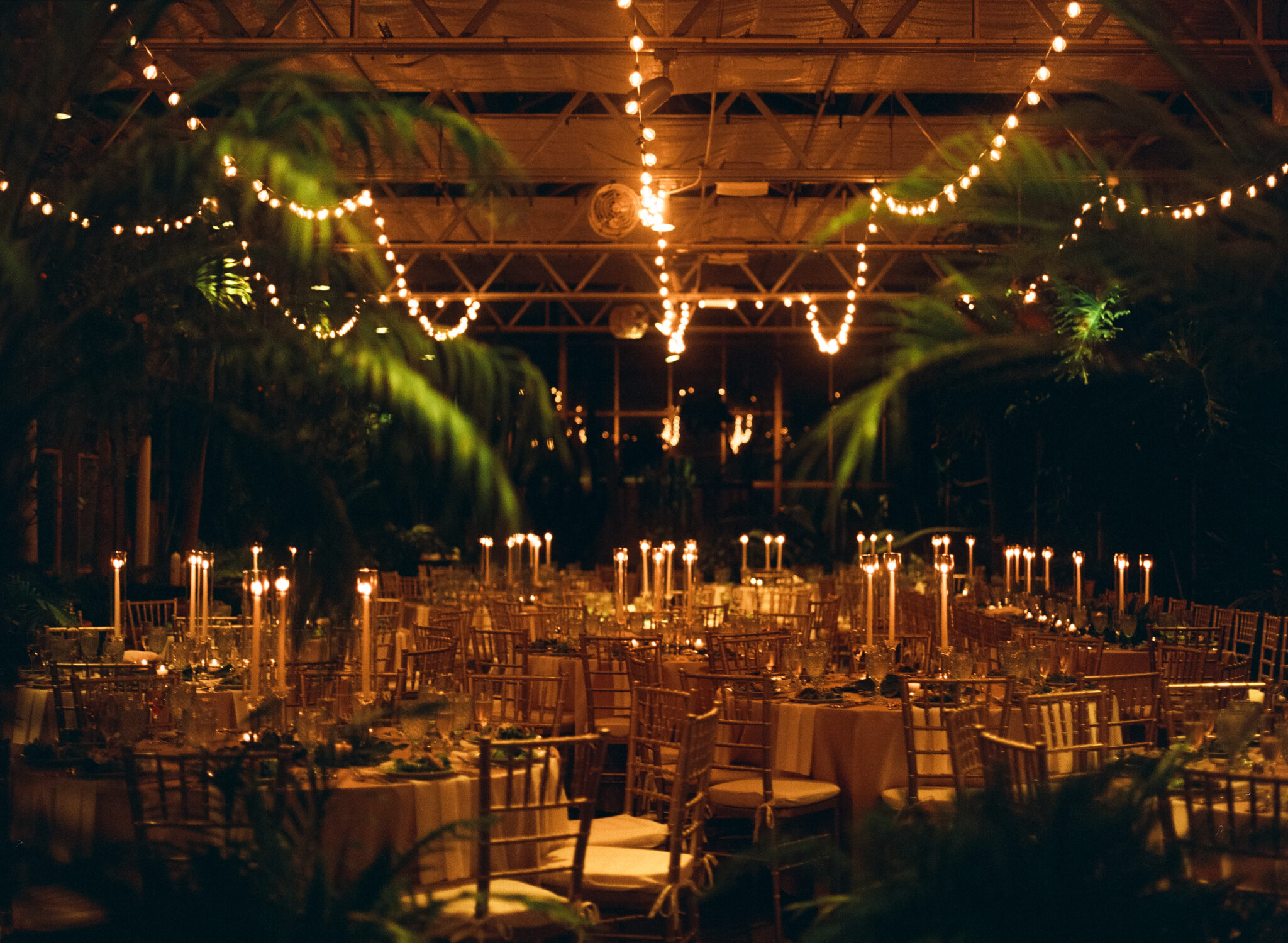 A Winter Wedding at Roger Williams Park Botanical Center | Showit Blog