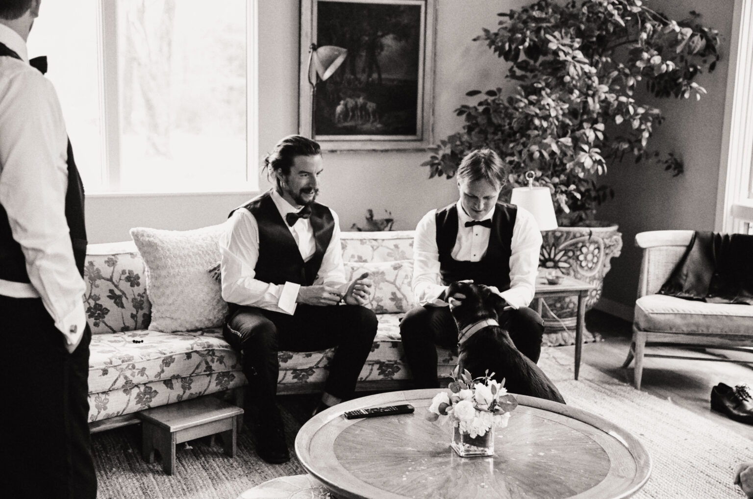 A Winter Wedding at Roger Williams Park Botanical Center | Showit Blog