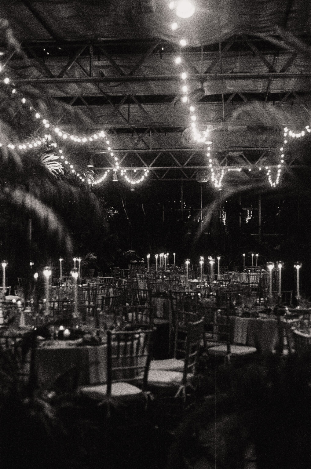 A Winter Wedding at Roger Williams Park Botanical Center | Showit Blog