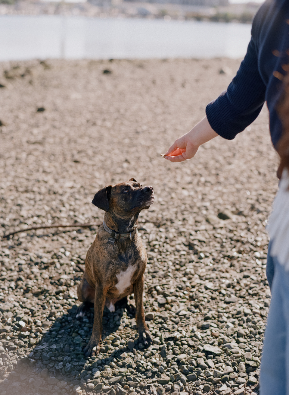 Creating Unique & Personalized Engagement Sessions